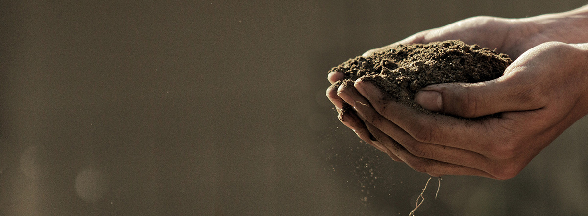 Did Adam Have to Work in Eden? - Patterns of Truth